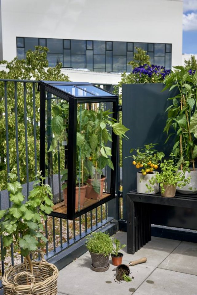 Petite serre de jardin pour balcon - Urban Balcony